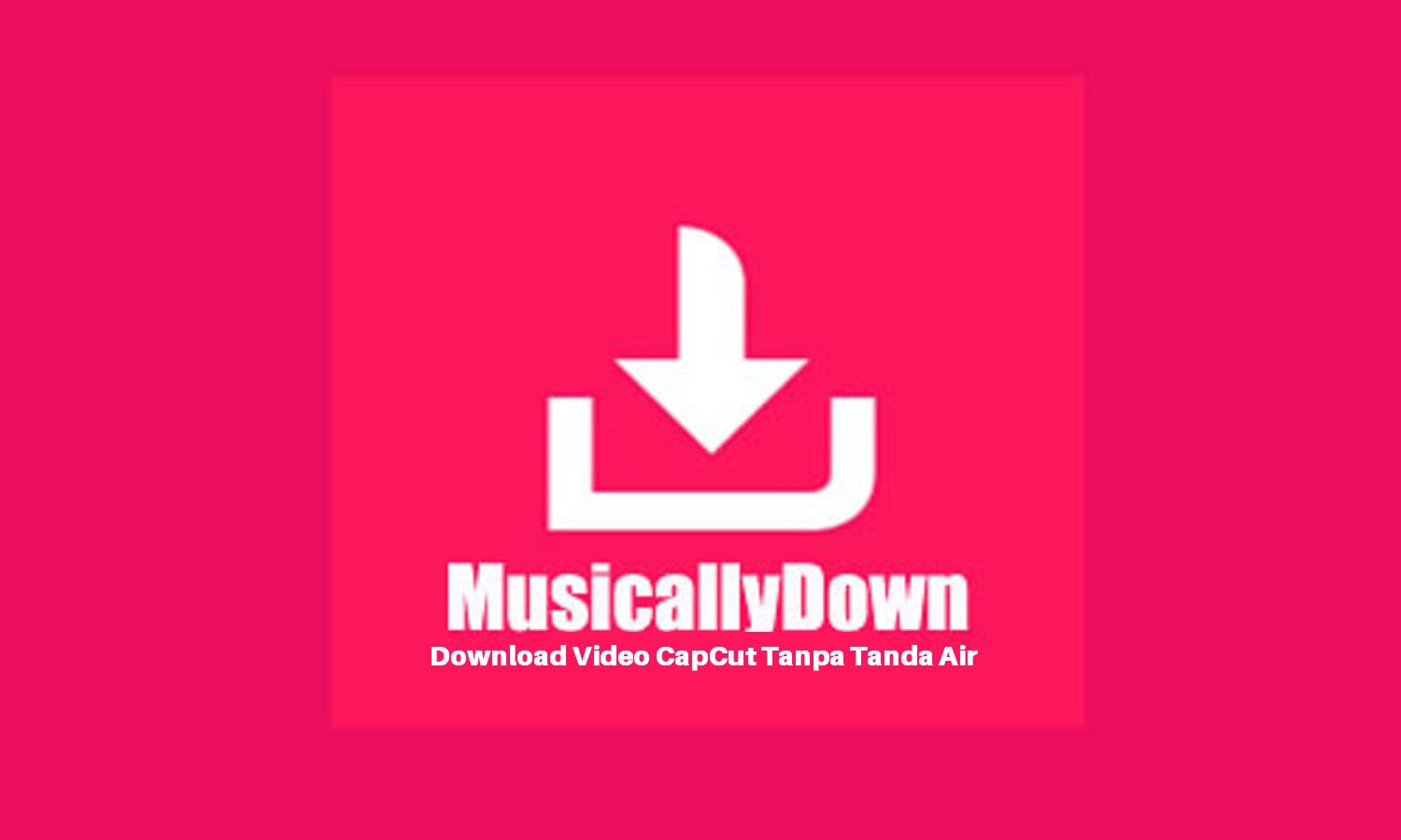 Musically down Blogote